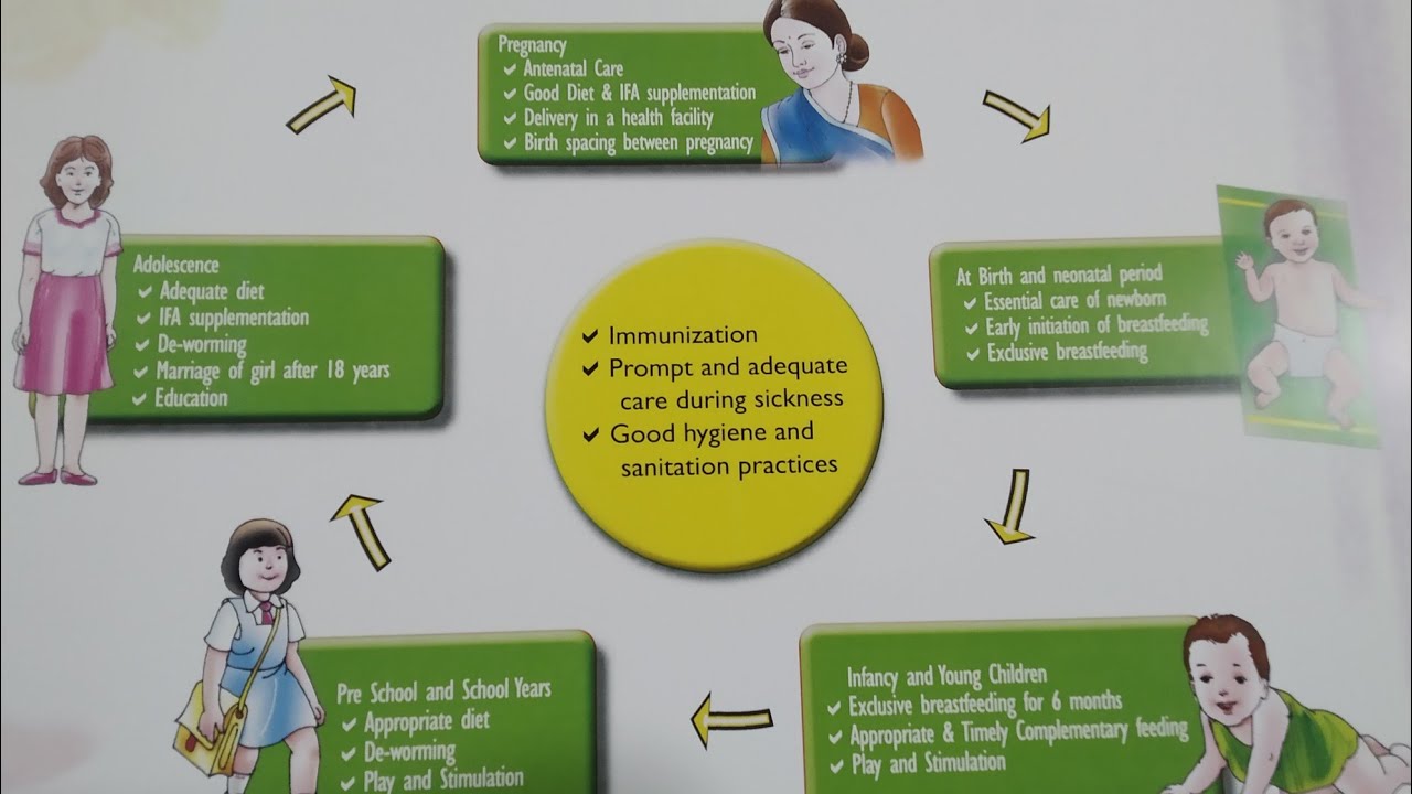 Role of Nutrition during Lifecycle - YouTube