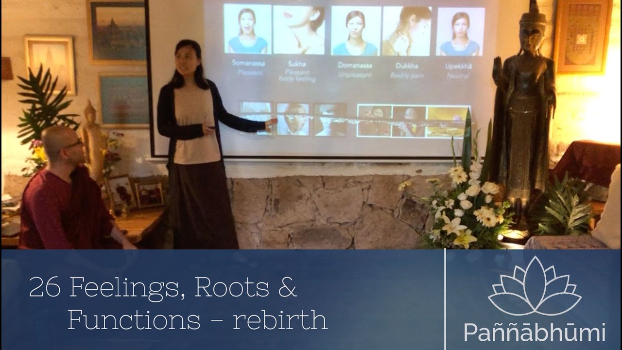 26 Feelings, Roots, Functions - rebirth - YouTube