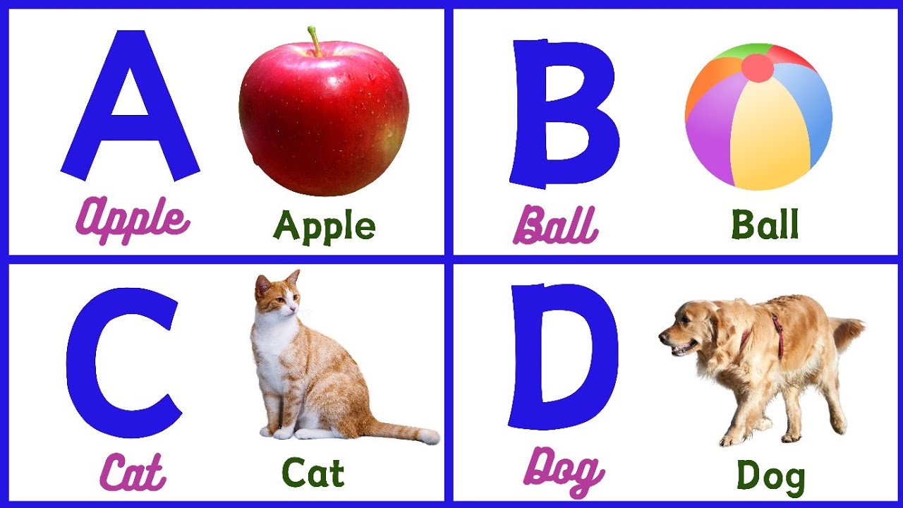 English Alphabets/ABCD/Learn Abcd/A to Z letter words/A for Apple/ABCD ...