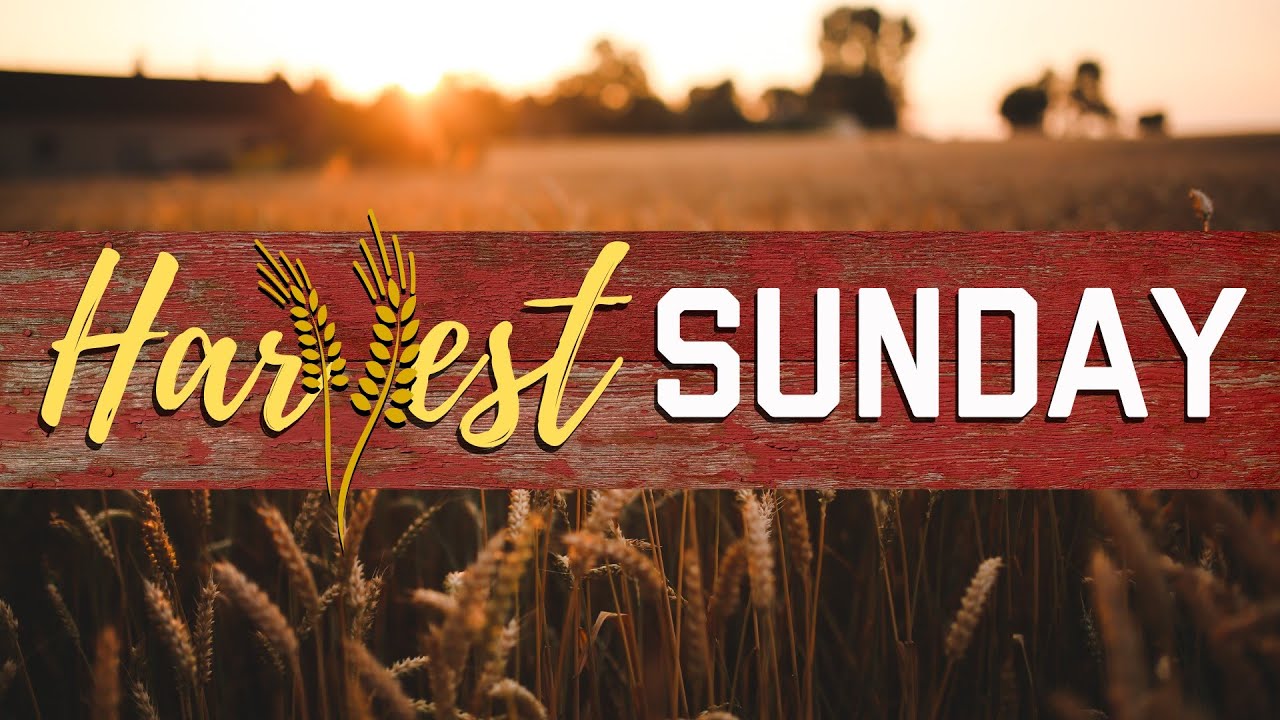 Harvest Sunday - 11/10/2024 - YouTube