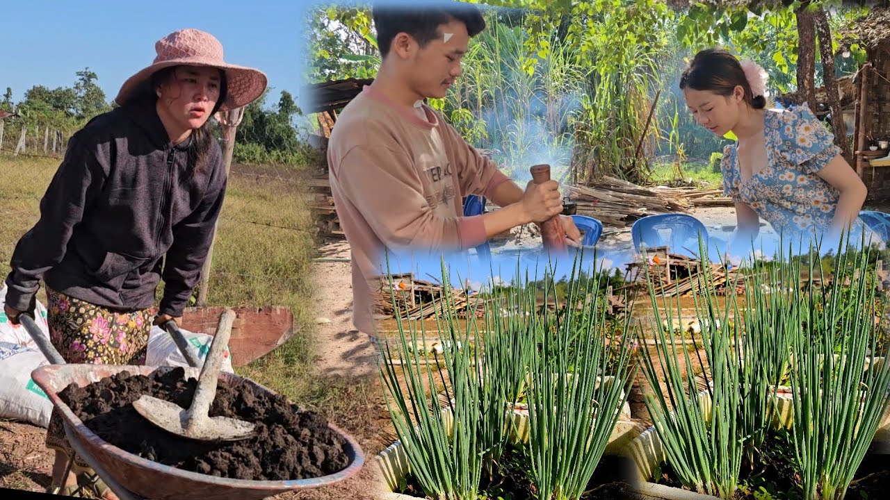 tus me Niam tsev nqua - YouTube