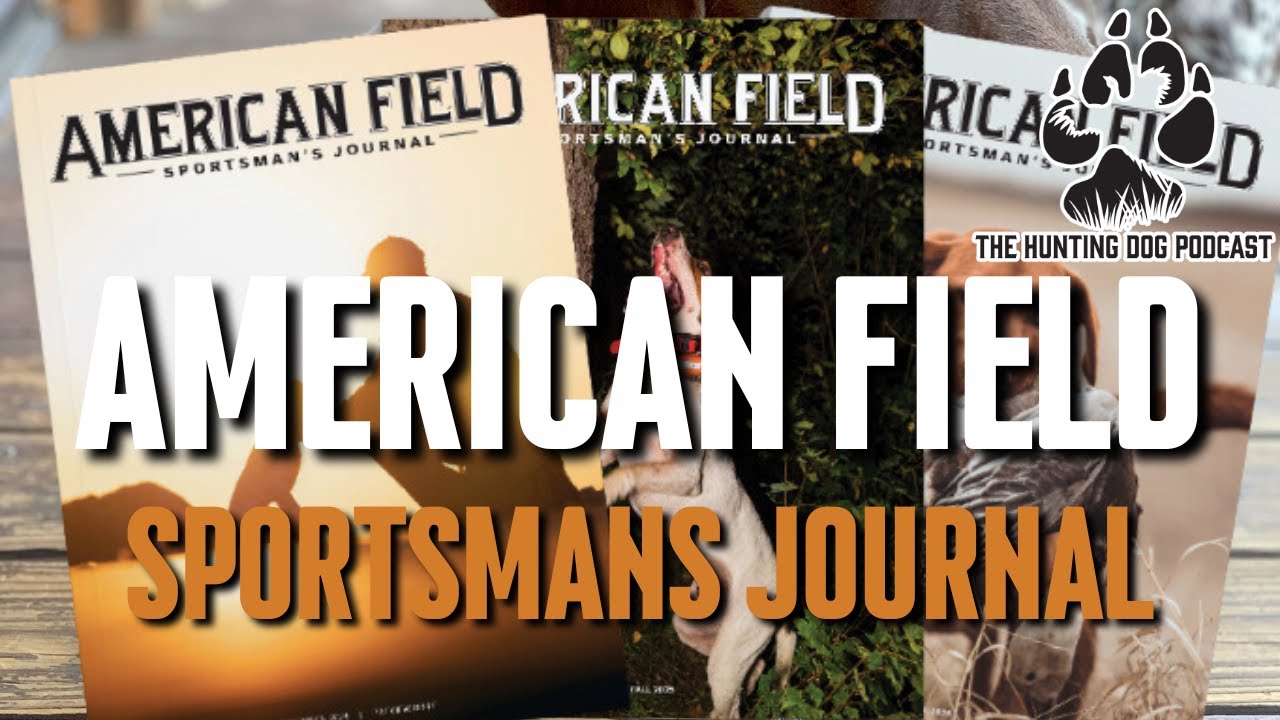 The History of Dogs! The new American Field Journal - YouTube