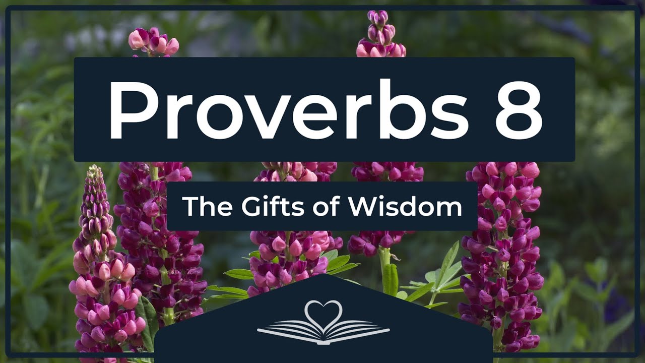 Proverbs Chapter 8 - Audio Bible (NRSVue) - YouTube