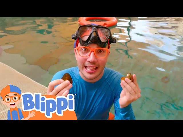 Blippi Searches For the Mother Pearl | Blippi - Full Episodes ...