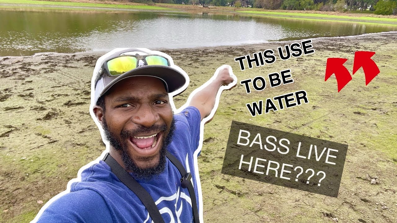 Saving Bass From Drying Puddle| Florida Bank Fishing - YouTube