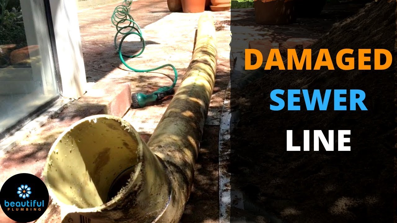 Damaged Sewer Line? You Need to See What Happened - YouTube