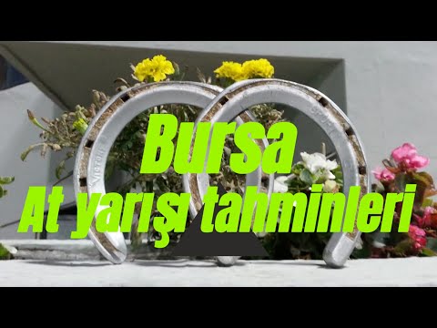 31 Temmuz 2026 Cuma Bursa at yarışları tahmin , 10 koşulu zorlu altılı ganyan