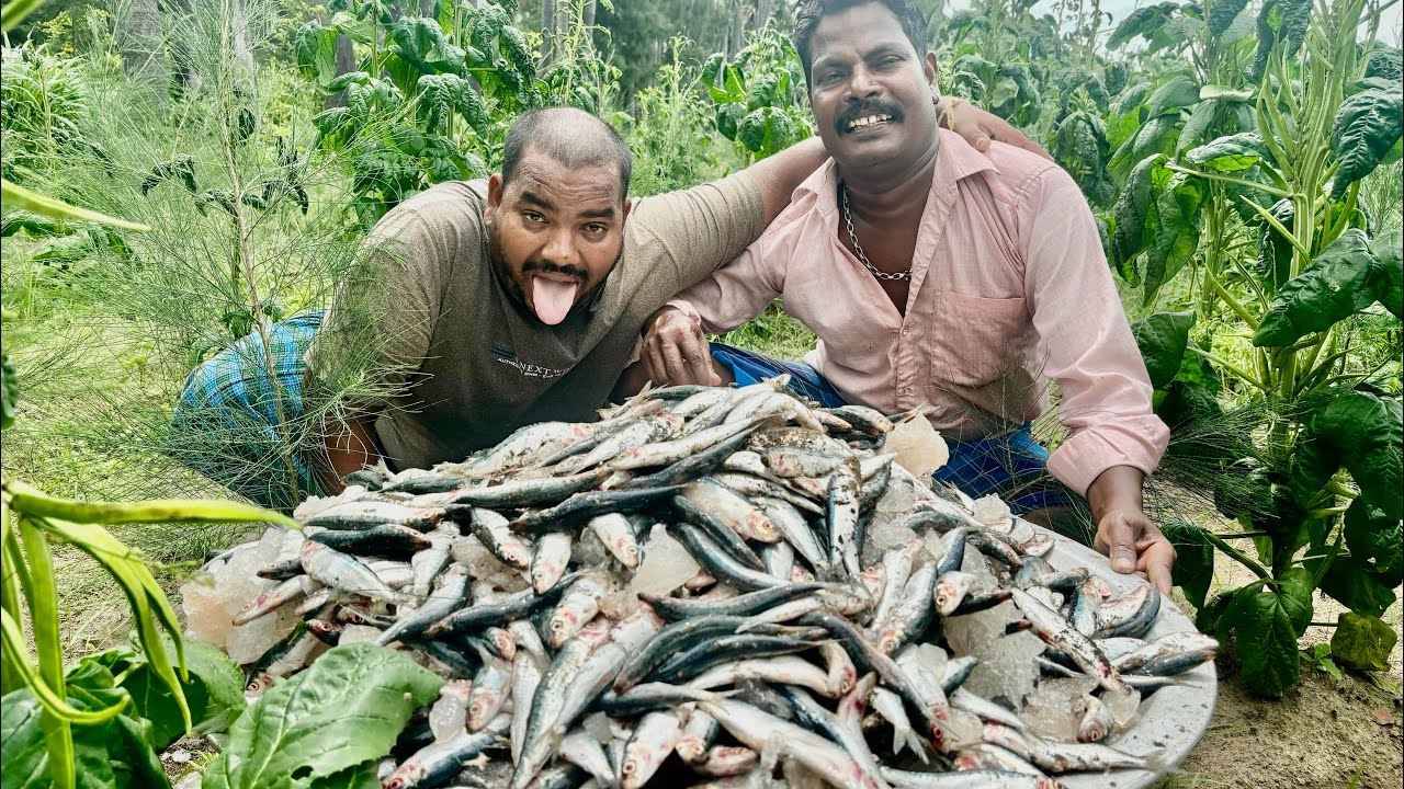 Gold stripe sardinella Fish Curry/ Kavala Mathi Varuval Village Special ...