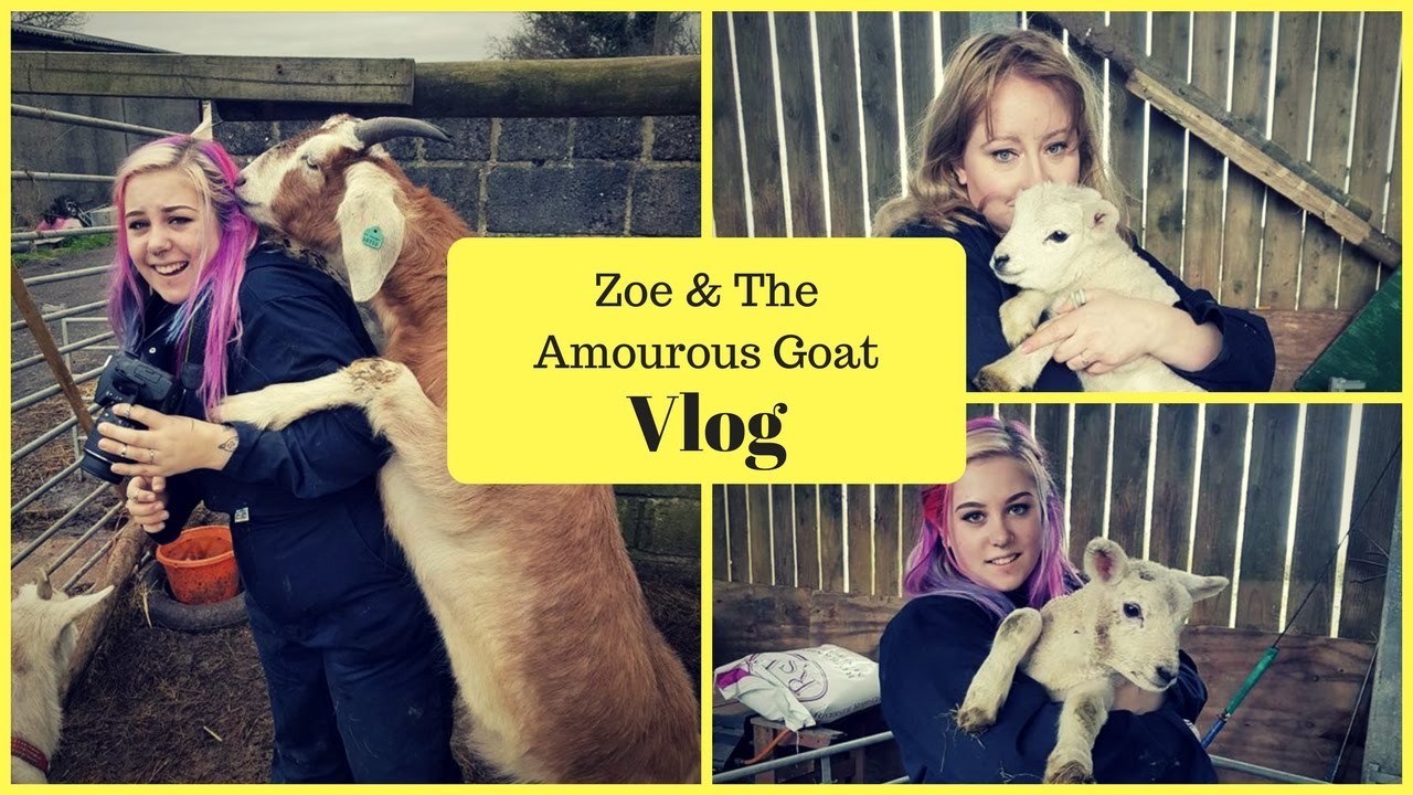 Lamb Season, Zoe & the Amorous Goat - YouTube