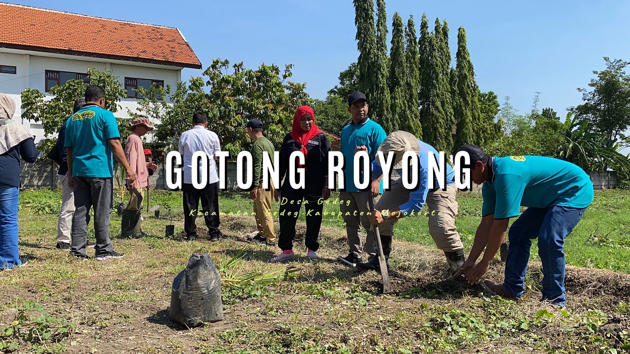 Gotong Royong Warga Desa Gedeg - YouTube