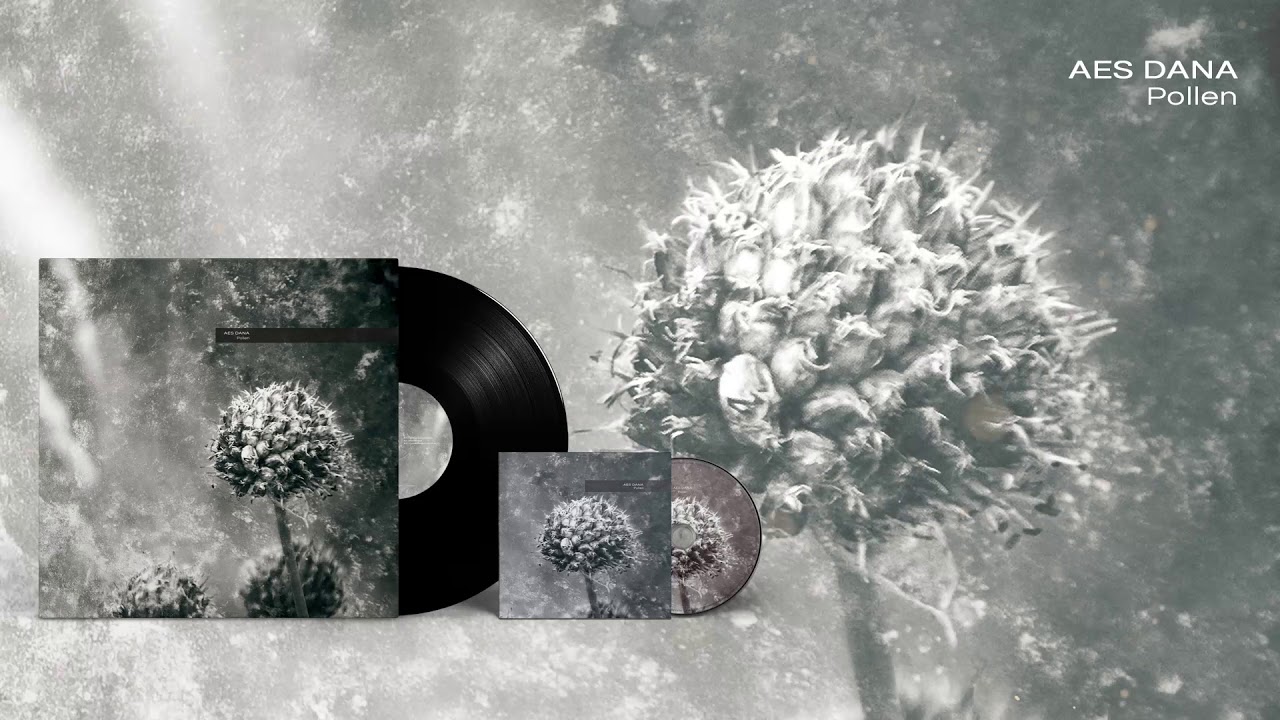 AES DANA - Pollen - 07 Riven - YouTube