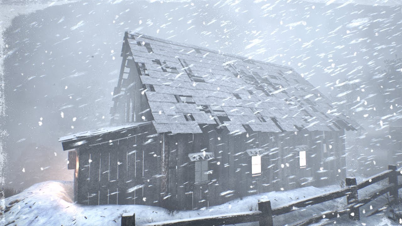 Winter Snowstorm and Wind Sounds for Sleeping┇Blizzard Ambience┇Howling ...