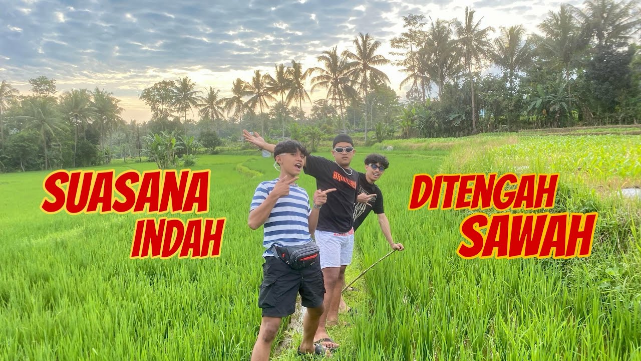 TERNYATA SUNSET DI SAWAH NGGA KALAH BAGUS SAMA DI PANTAI ! - YouTube
