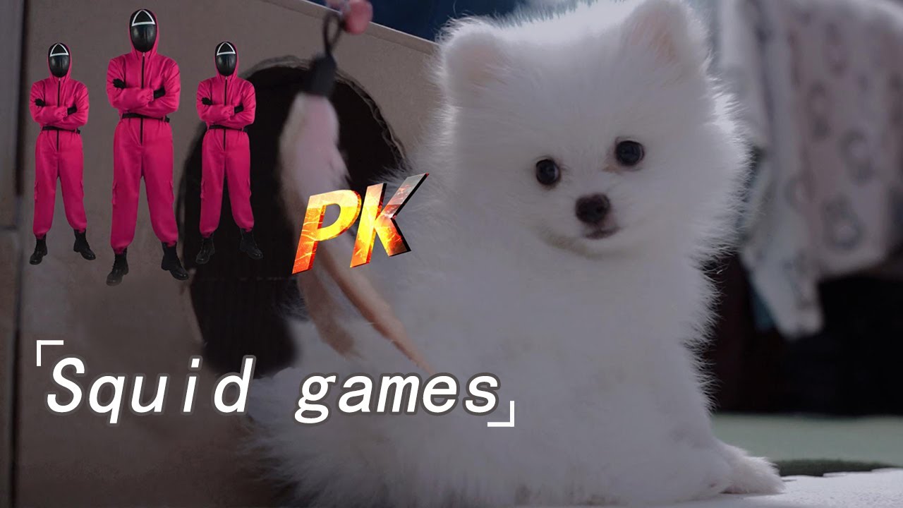 Playing SQUID GAME In DOG World!👽Funny Dog - YouTube