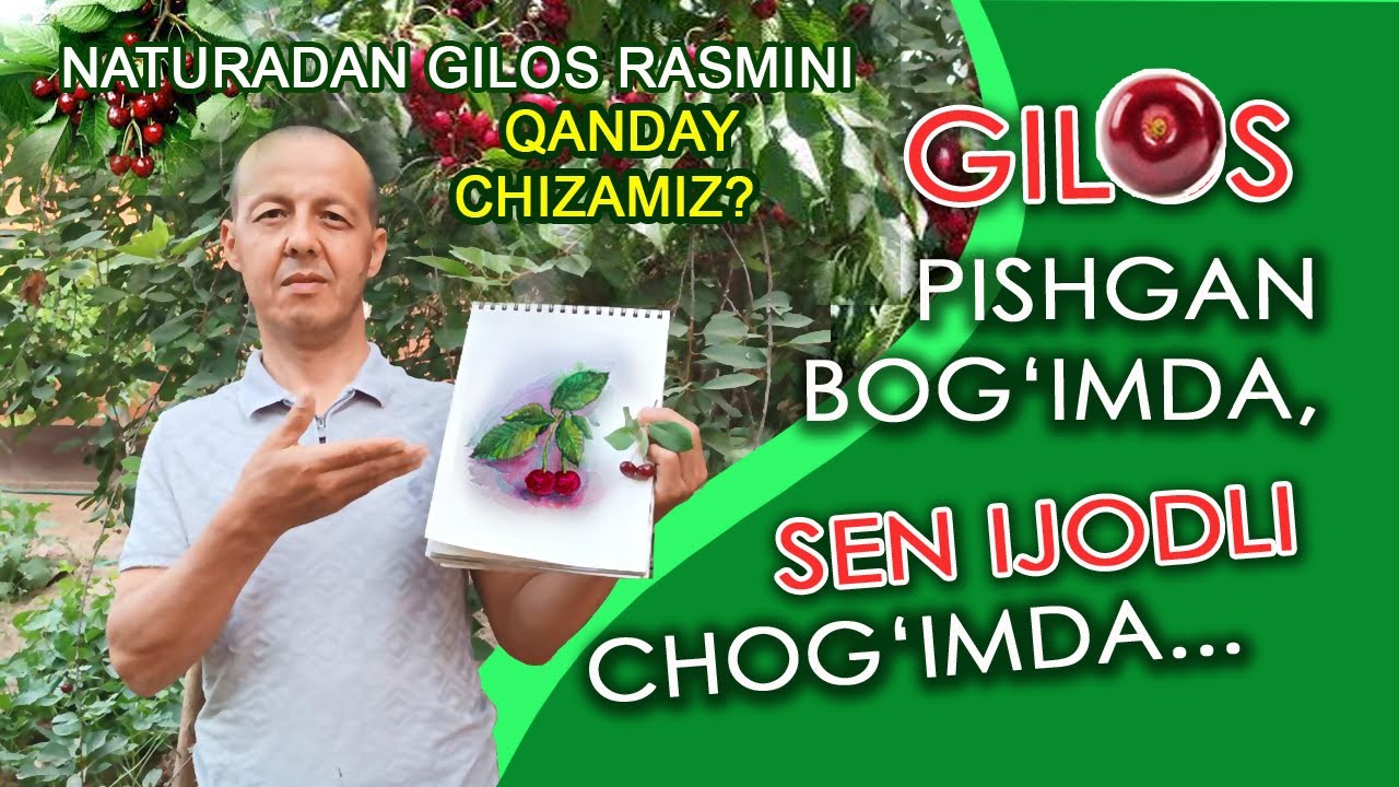 DRAWING A PICTURE OF A CHERRY /GILOS RASMINI CHIZISH - YouTube