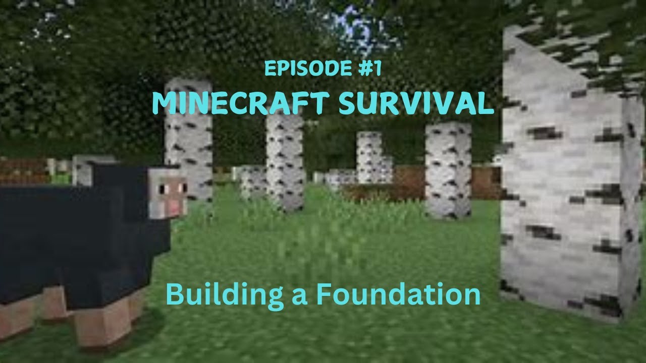 Episode 1 Minecraft Survival - YouTube