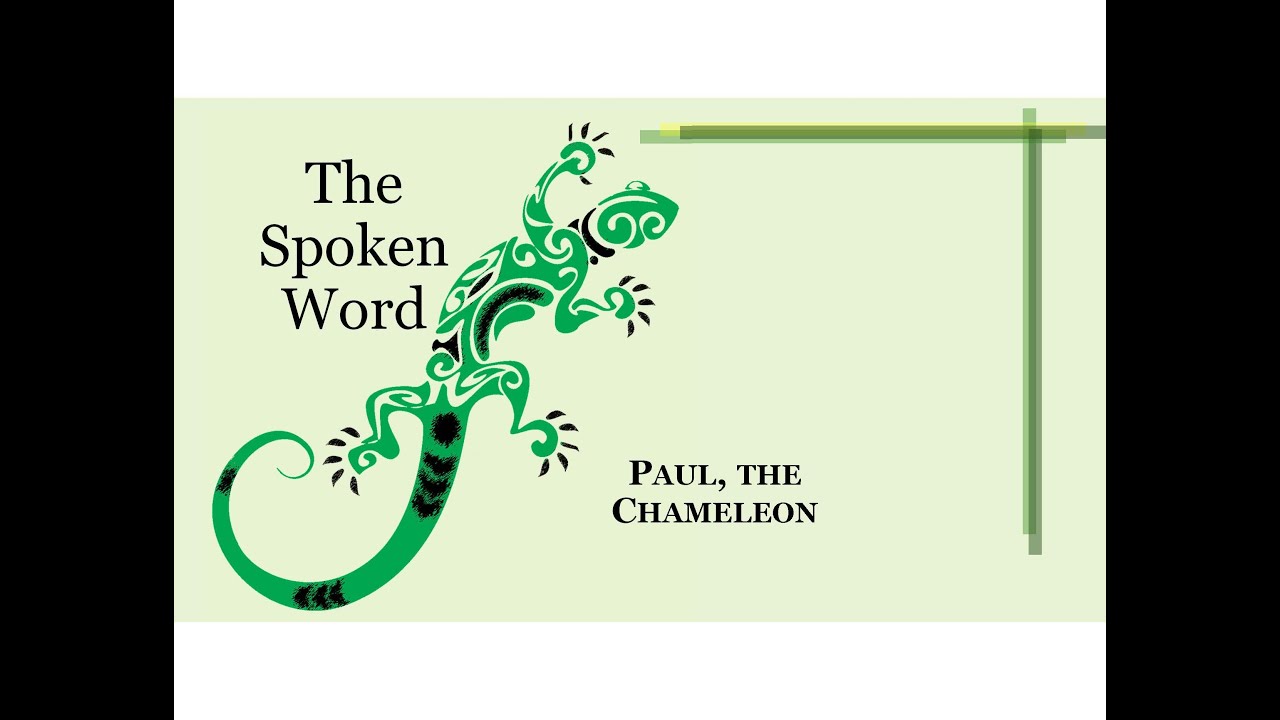 Paul, the Chameleon - YouTube