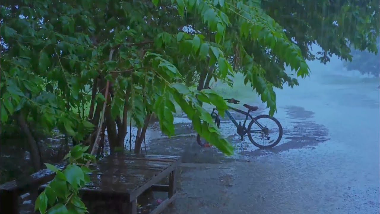 The sound of rain help you relax and sleep, Relief insomnia - YouTube