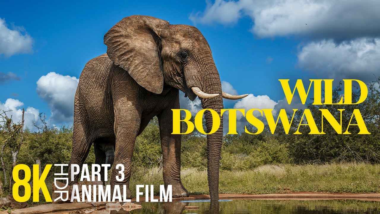 8K HDR Wild Botswana - Narrated Documentary - Interesting Facts about ...