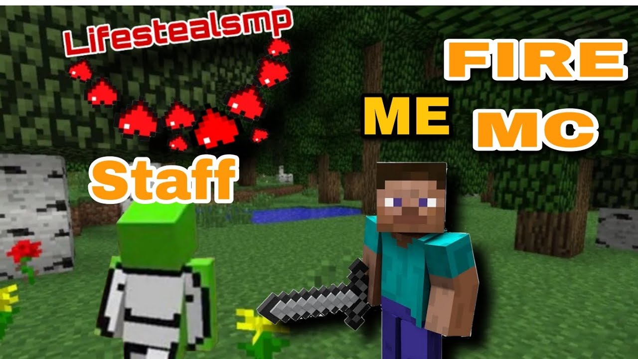 I Found Staff In Lifestyle SMP FIRE MC #video #viral @PSD1 - YouTube