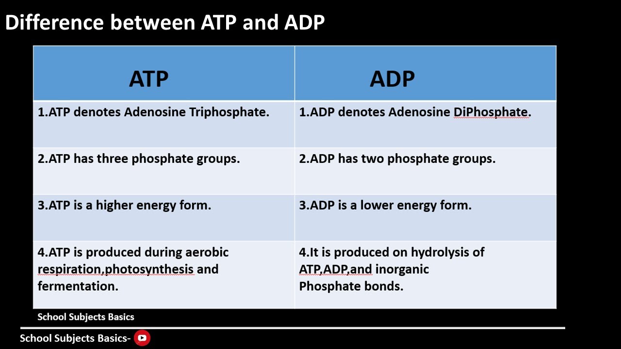Difference Between ATP And ADP science class 9 School Subjects Basics Difference Between ATP And ADP science class 9 School Subjects Basics