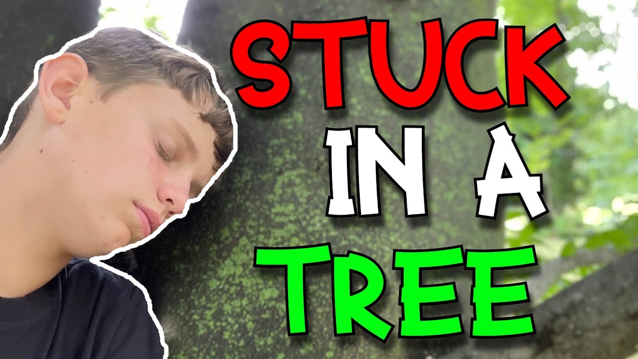 24 Hours STUCK IN A TREE - YouTube