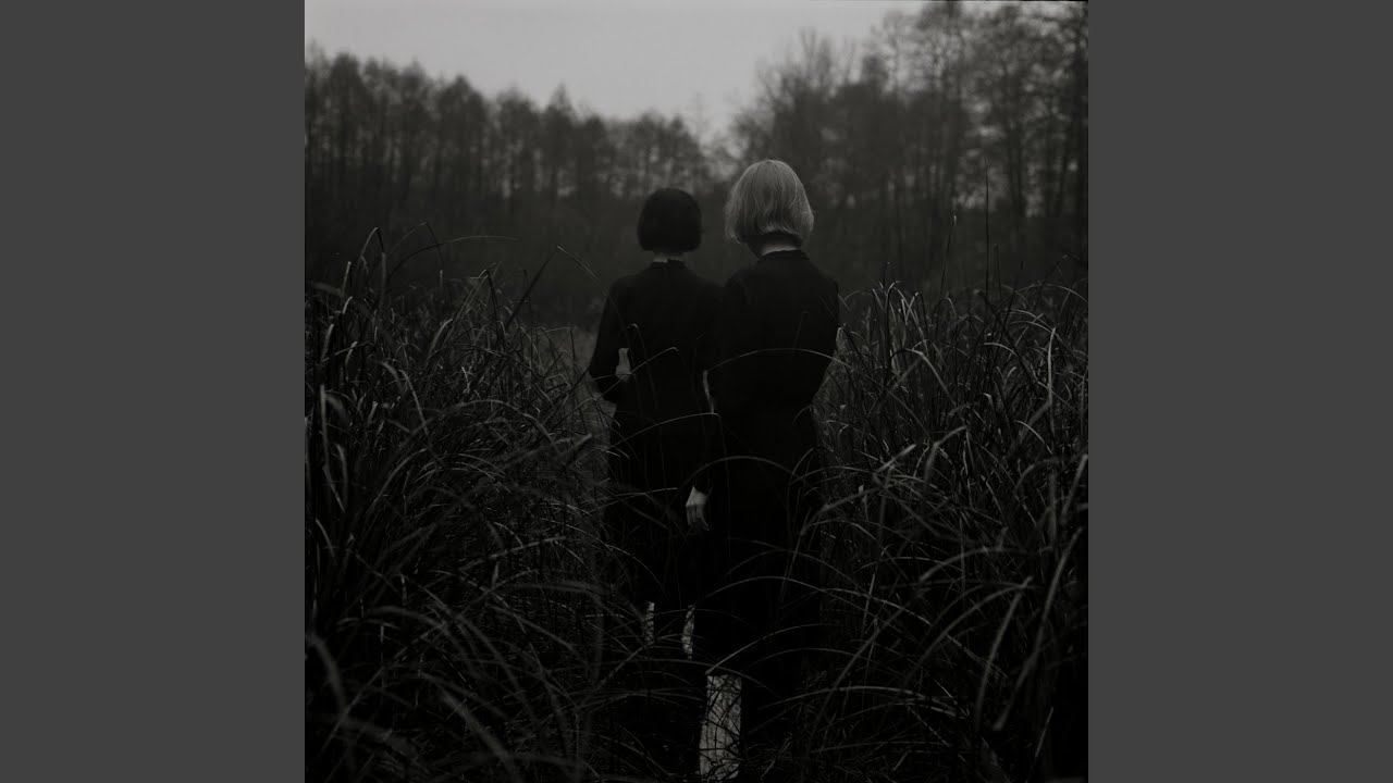 The Hidden Observer - YouTube