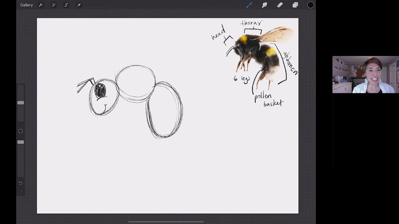 Ellie Peterson, Author/Illustrator - YouTube