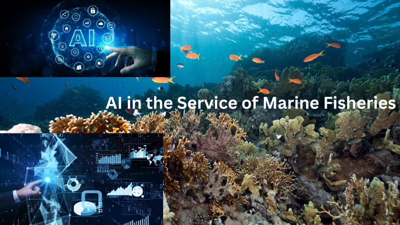 Artificial Intelligence in the Service of Marine Fisheries - YouTube