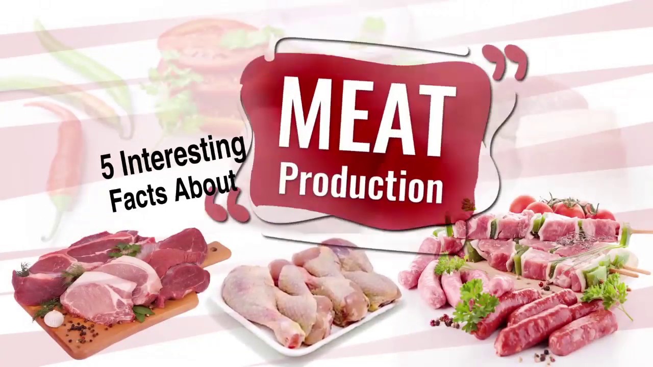 5 Interesting Facts about Meat Production in India - YouTube