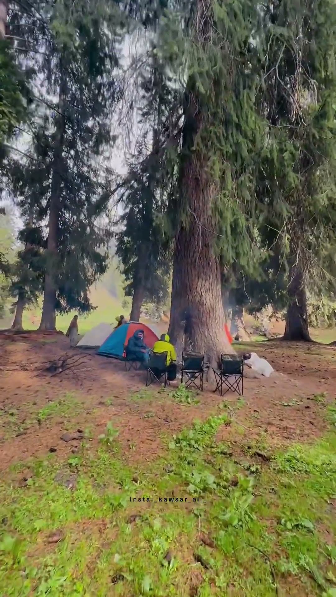 Taip Banda Mankial Swat Valley 🏔️🌦️🌲 #life #adventure #viralvideo # ...