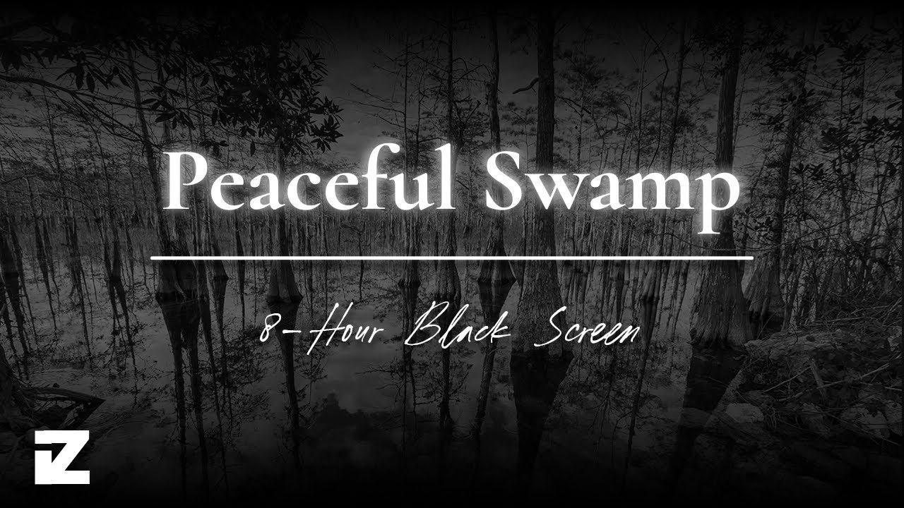 🐸 Peaceful Swamp Sounds For Deep Sleep, Stress Relief And Relaxation ...