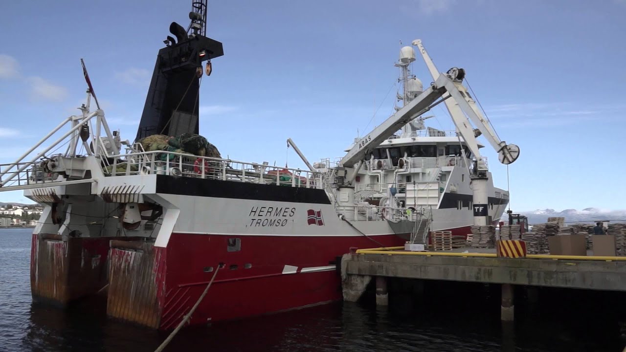 Fishing for the future - YouTube