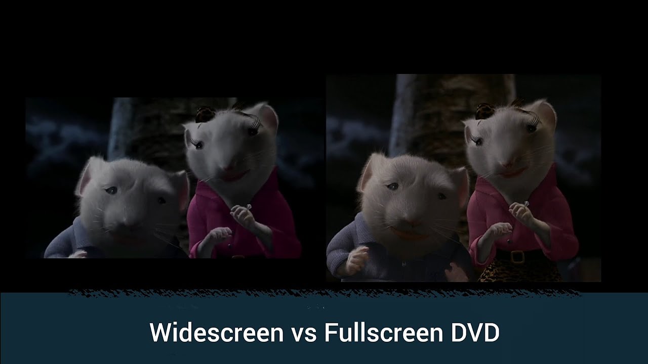 Stuart Little Widescreen vs Fullscreen DVD Stuart found the truth scene ...
