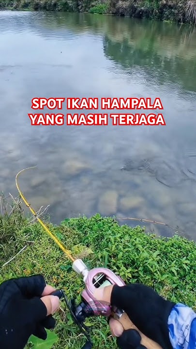 Casting ikan hampala di spot yang masih terjaga #casting #mancing #jokes - YouTube