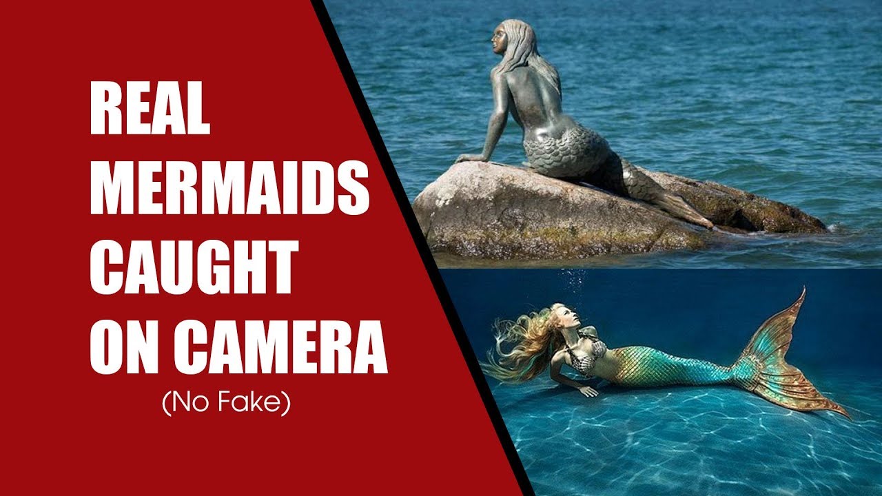 Real Mermaids Caught On Camera With Proof No Fake Top Mermaids