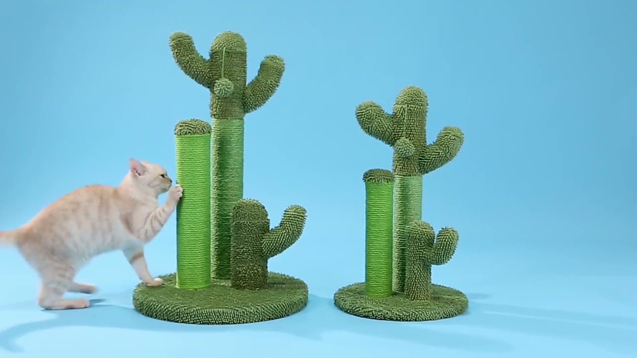 CACTUS CLIMBING CAT TREE - YouTube