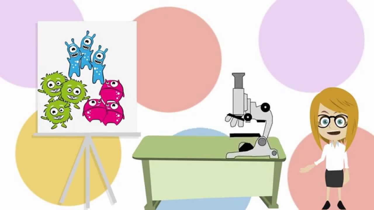 Hand Washing Guide from Initial Washroom Hygiene - YouTube