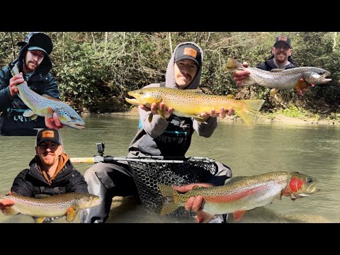 NONSTOP 20+ INCH TROUT (Browns and Rainbows) - YouTube
