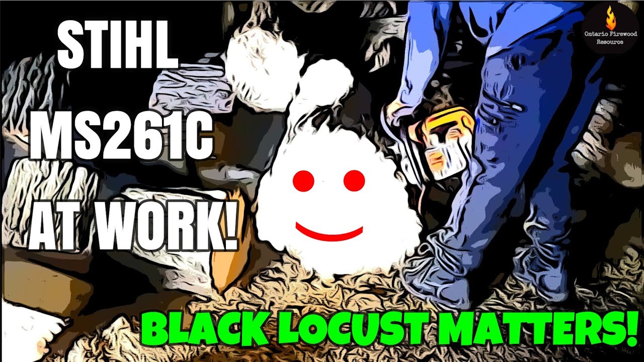 CUTTING BLACK LOCUST & SUGAR MAPLE FIREWOOD - YouTube