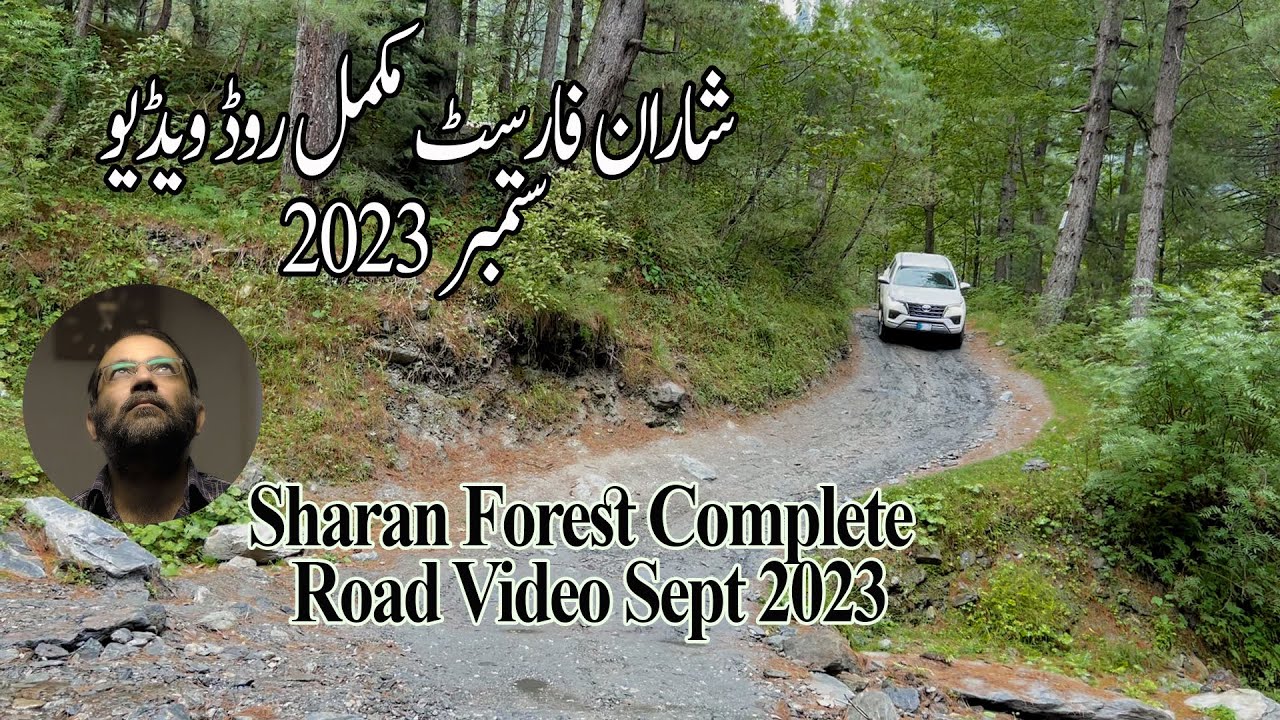 sharan Forest road | #Sharan Forest road condition 2023| Sharan forest ...