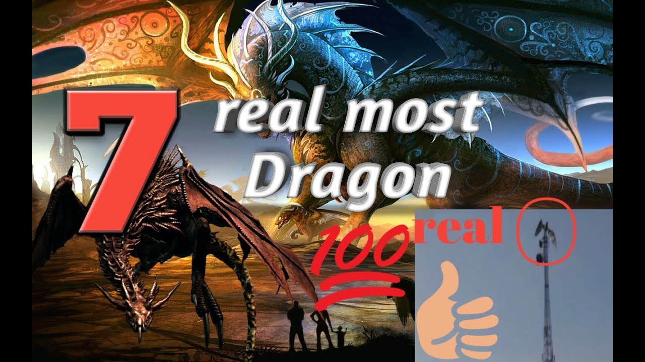 7 Dragons Caught On Camera & Spotted In Real Life! - YouTube