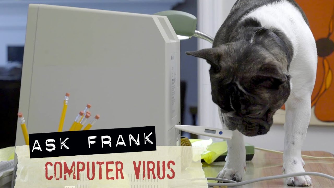 Computer Virus - #021 Ask Frank: Advice for Dogs. By a Dog. - YouTube