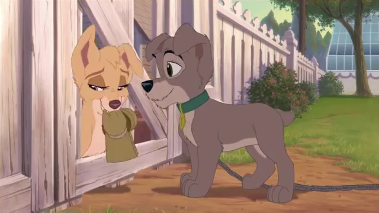 Tramp x Lady vs Scamp x Angel - Which couple do you prefer? - YouTube