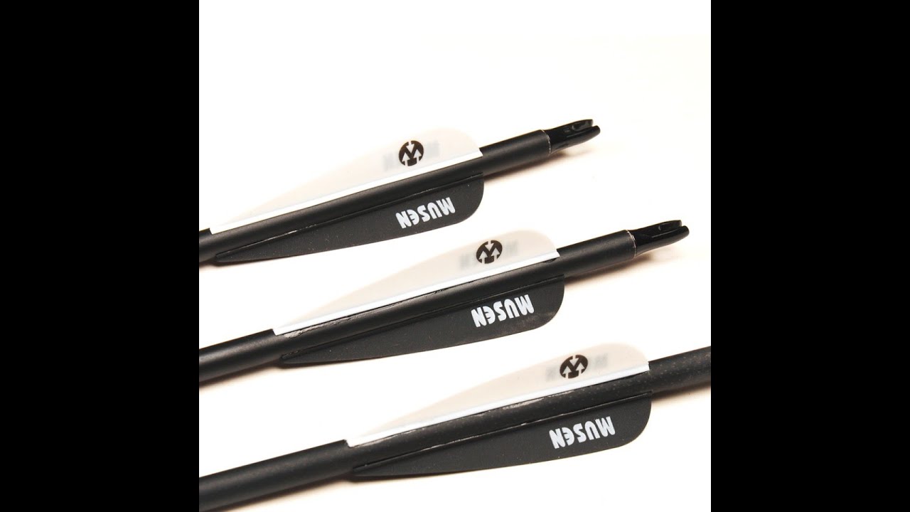 Junxing F155 Recurve Bow - Musen Arrow VS Watermelon - Penetration Test ...