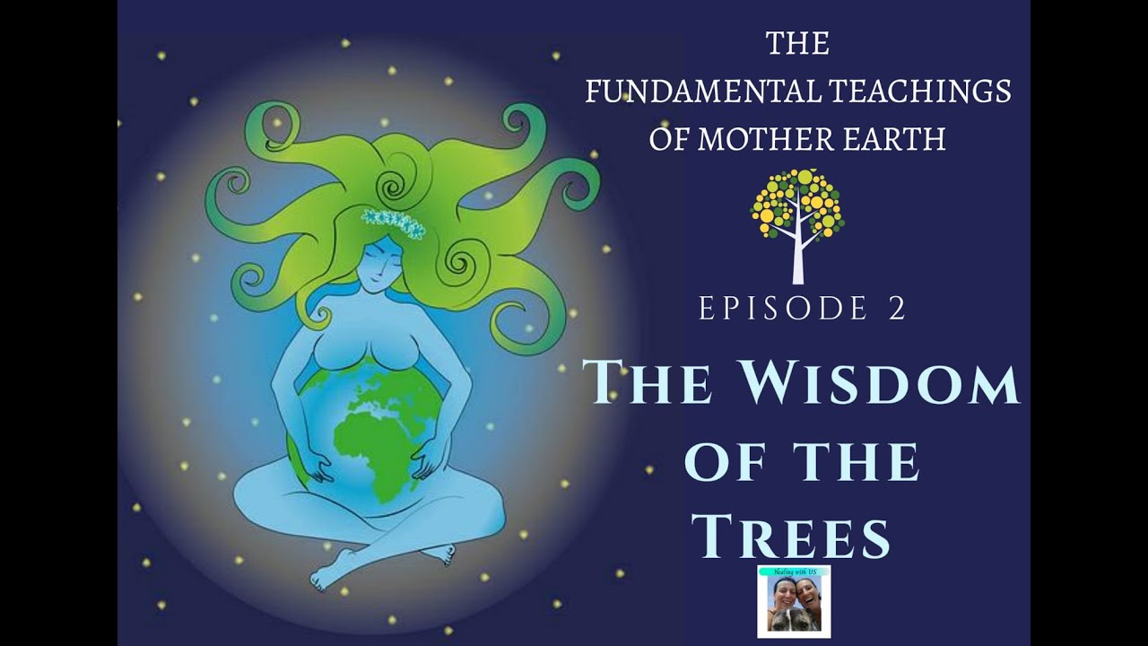 Episode 2 The Wisdom of The Trees - The Fundamental Teachings of Mother ...