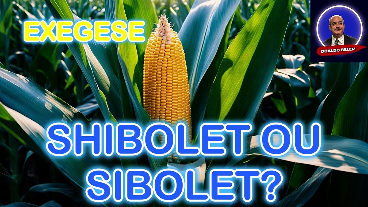 Shibolet ou Sibolet? - YouTube