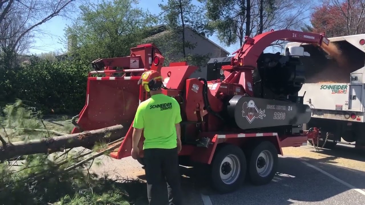 415HP Cat powered Morbark 2230 devouring a pine tree - YouTube