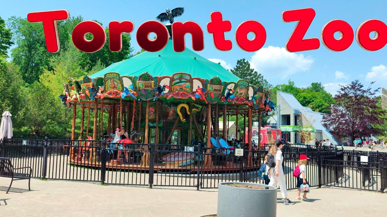 TORONTO ZOO VISIT -4K-60--JUN 1/23 CANADA - YouTube