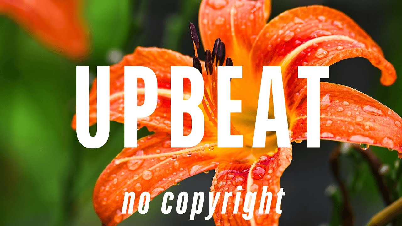 (FREE) UPBEAT HAPPINESS - Royalty Free Background Music - Upbeat ...